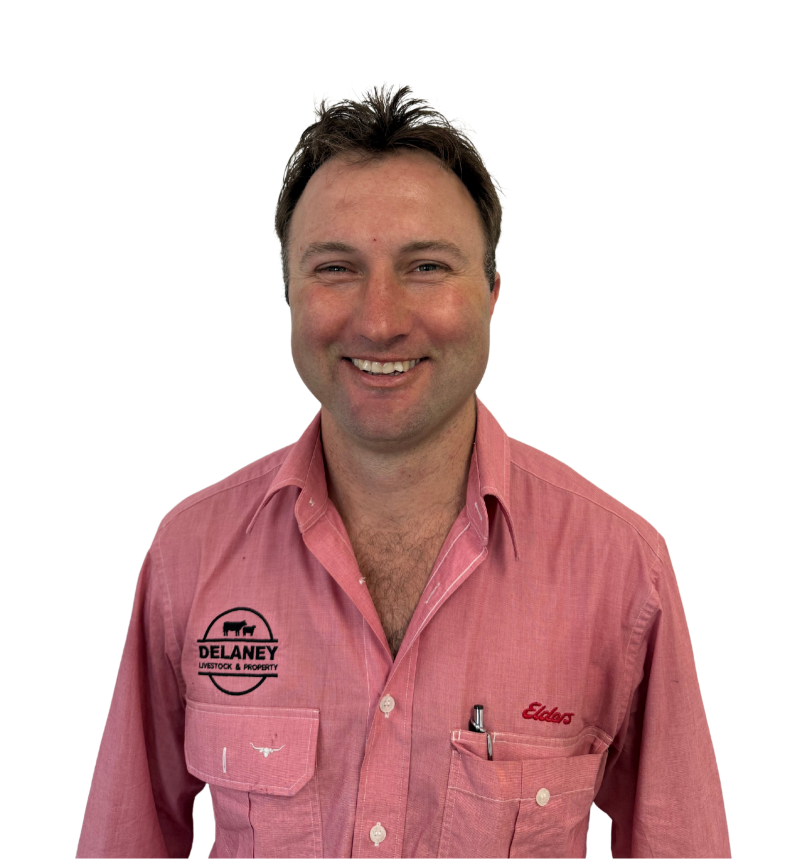 Anthony Delaney, Managing Director | Elders Real Estate Delaney Group